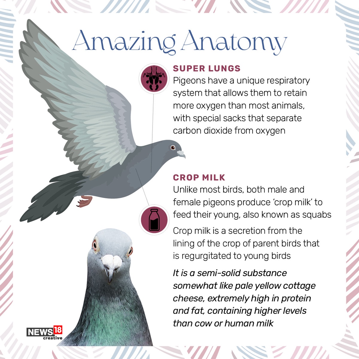 With Nearly 400 Million Flying Around The World, Look At Some ...