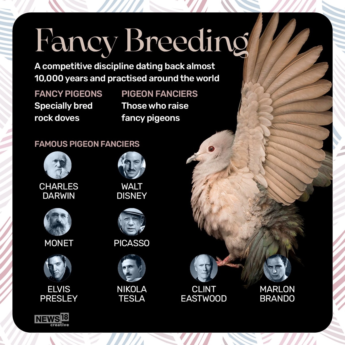 With Nearly 400 Million Flying Around The World, Look At Some ...