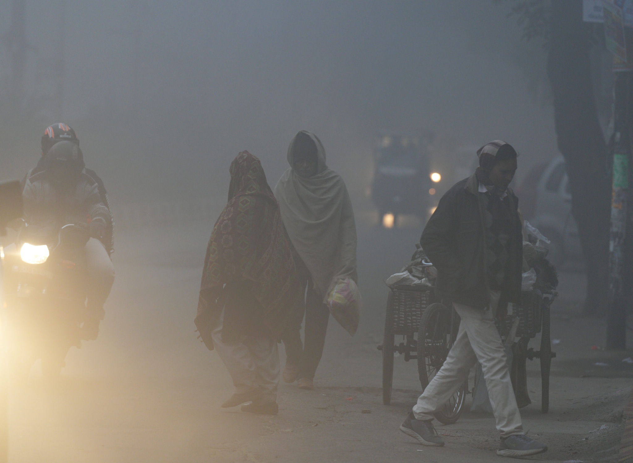 Intense Cold Wave Grips North India; Dense Fog Cripples Rail, Air ...