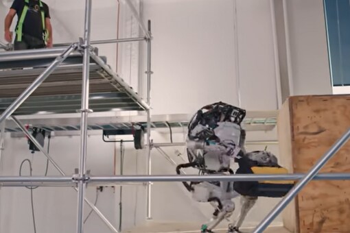 WATCH: This Human-like Robot Can Carry Heavy Weights and Do Somersaults ...