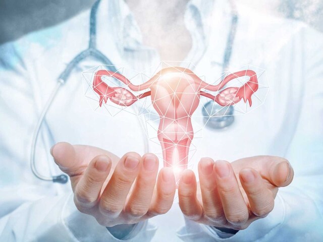 Fallopian Tubes: Is Pregnancy Possible With Only One? - News18