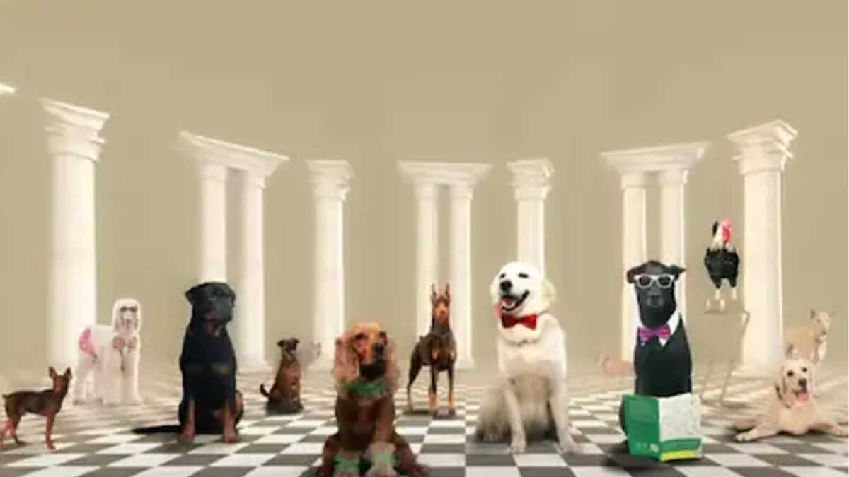 Valatty: Tale of Tails, An Experimental Film Starring Dogs, To Release ...