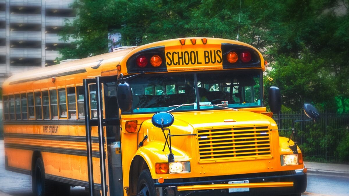 Why Are School Buses Yellow In Colour? Know The Facts - News18