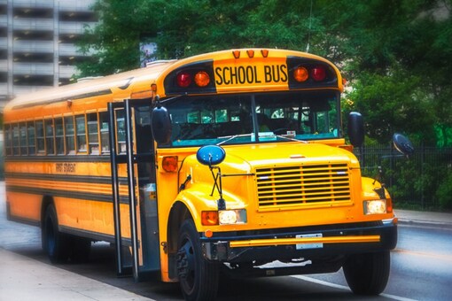 Why Are School Buses Yellow In Colour? Know The Facts - News18