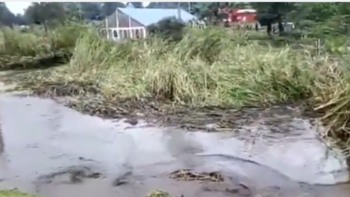 Watch: This Sinkhole Sucking All Of Swamp In Is Something We Don't See ...