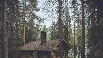 Optical Illusion: Can You Spot The Bear In This Photo? | Buzz News - News18