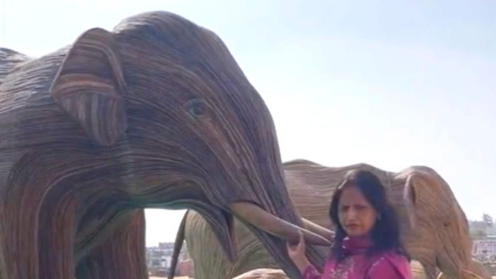 Watch: 70 Tribals From Mudumalai Create Elephant Replicas From Lantana ...