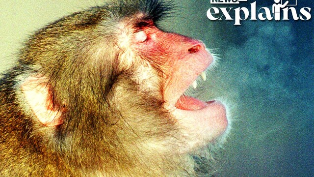 Delhi Cold Wave: Why Does Your Breath Become Visible During Winters ...