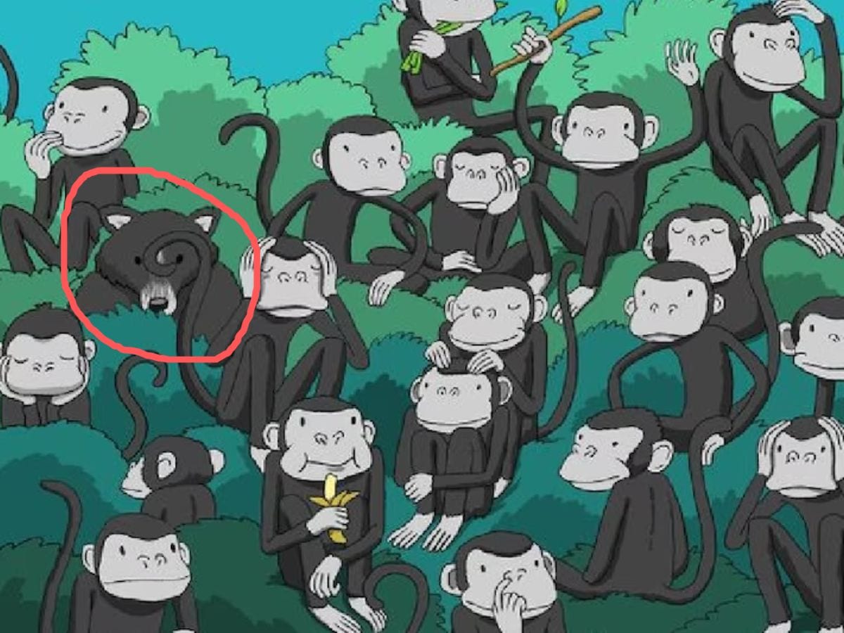 Optical Illusion: Can You Find The Bear Hiding Among Monkeys In This ...