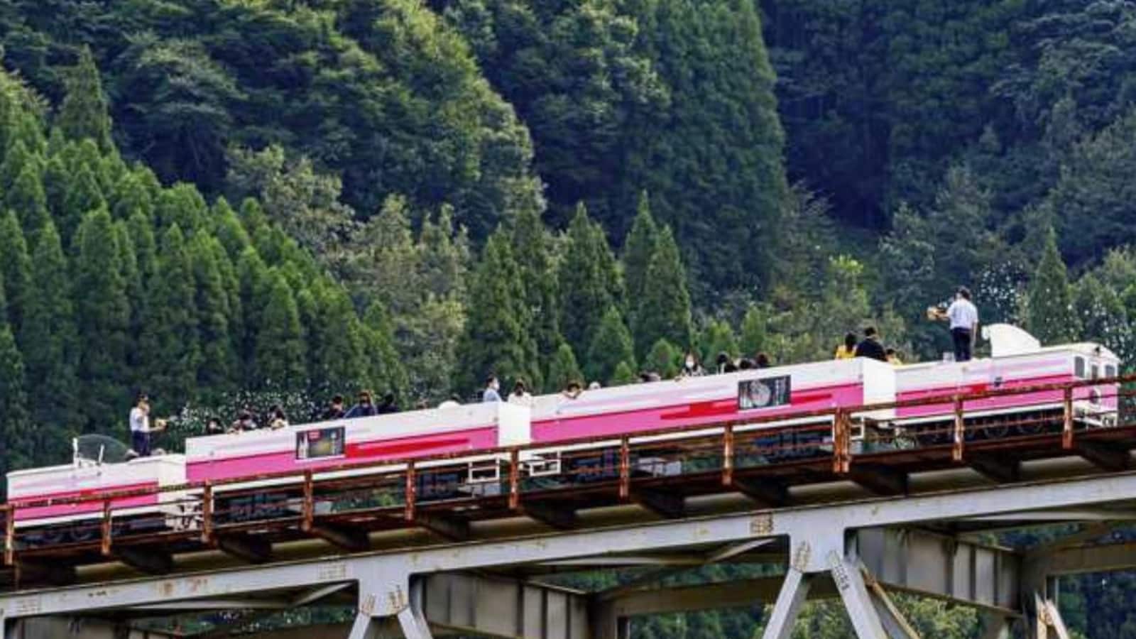 This Eco-Friendly Japanese Train Runs On A Biodiesel Obtained From ...