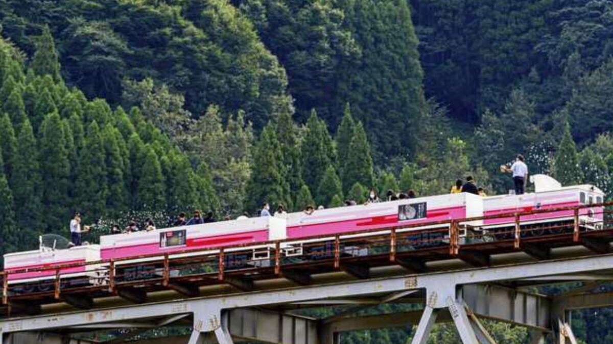 This Eco-Friendly Japanese Train Runs On A Biodiesel Obtained From ...
