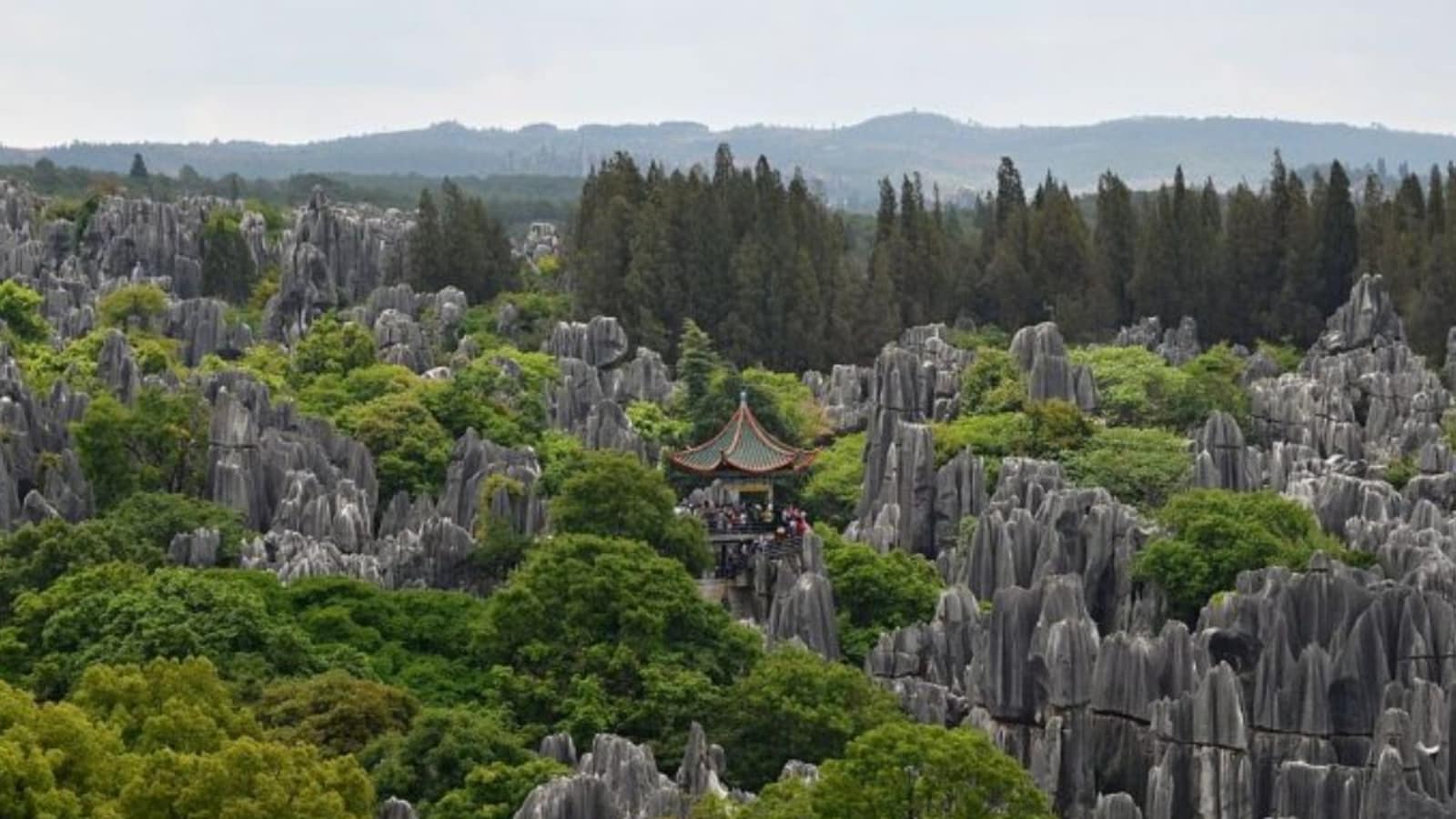 This China Forest Is Made of Innumerable Stones And It's Surreal | Buzz ...