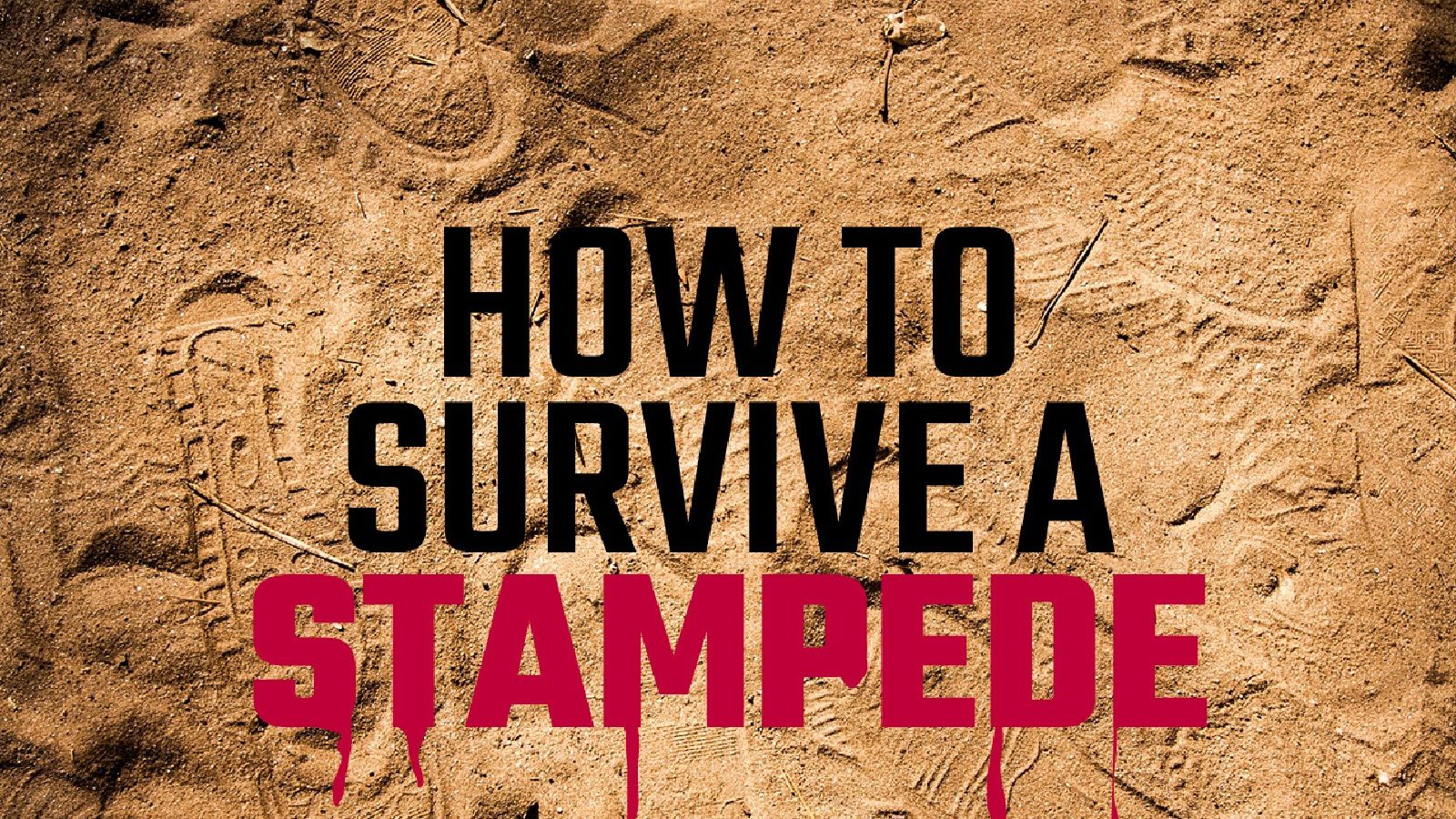 How To Survive a Stampede & How They Can Become Deadly | Explained In ...