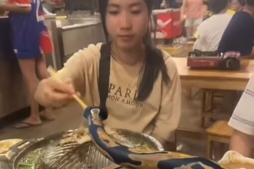 Video of Women Casually Dining With 'Python' Shocks Internet, Here's ...