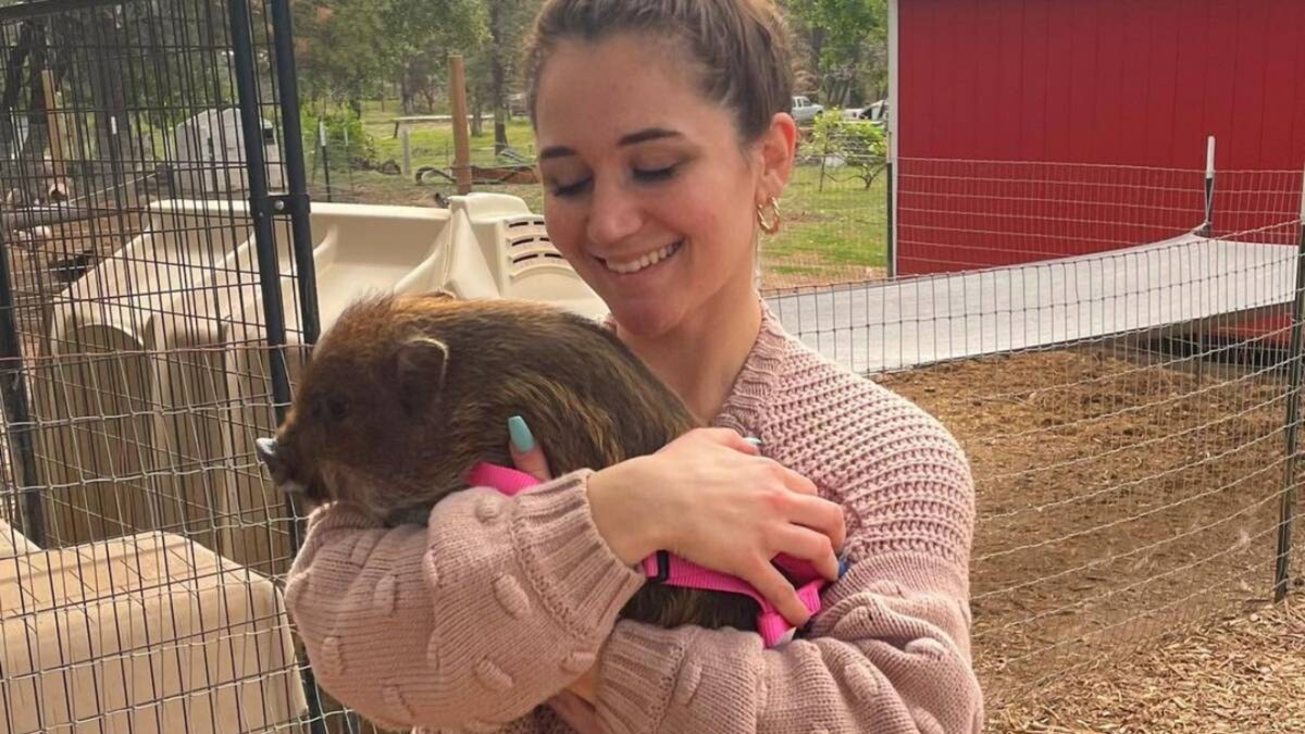 Meet Internet Sensation Merlin, The ‘World’s Smartest Pig’ - News18