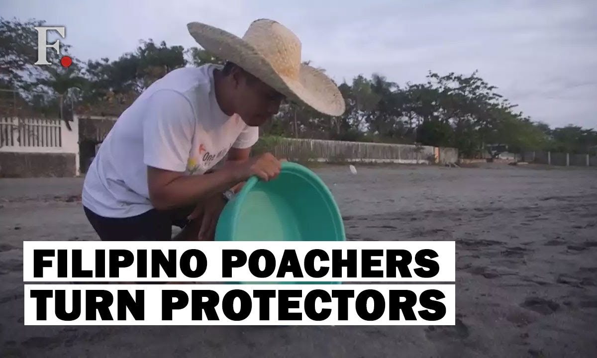 How Are Filipino Poachers Turning Protectors? | FP Earth - News18