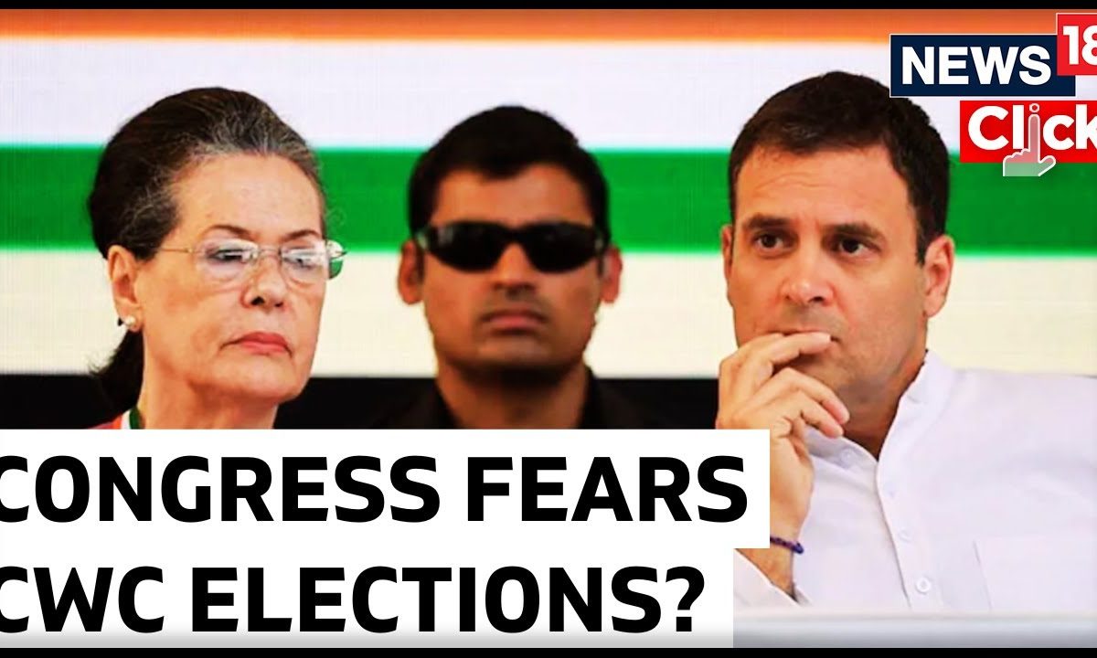 Congress News | Why Congress Has Never Held CWC Elections? | Rahul Gandhi | English News ...