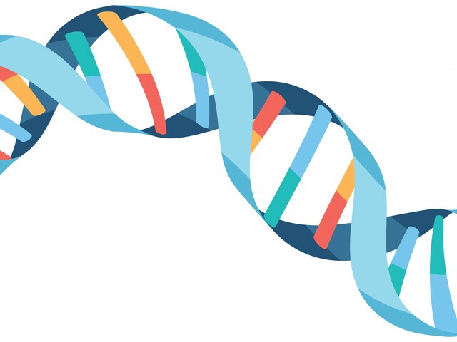 Genome Sequencing And Its Significance In The Scientific World: An ...