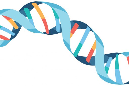 Genome Sequencing And Its Significance In The Scientific World: An ...