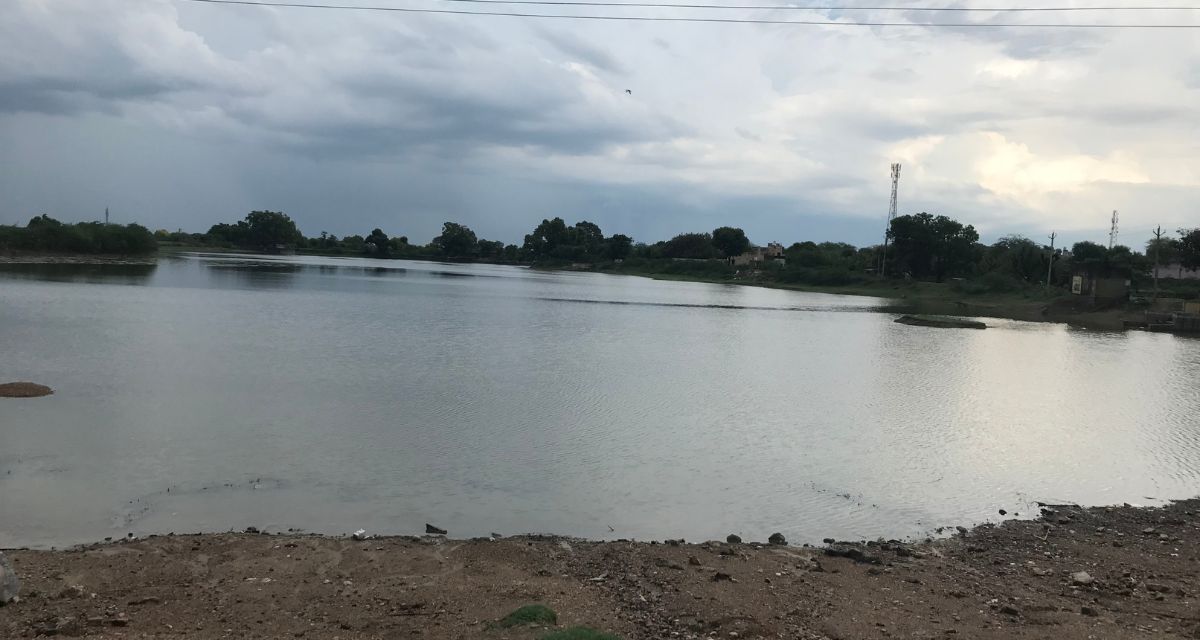 Rajasthan's Cattle Farmers Hack the Pasture Problem, but Climate Change ...