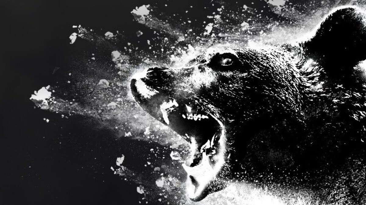 Cocaine Bear: A Twisted Tale of a Drug Smuggler and An Animal Gone ...