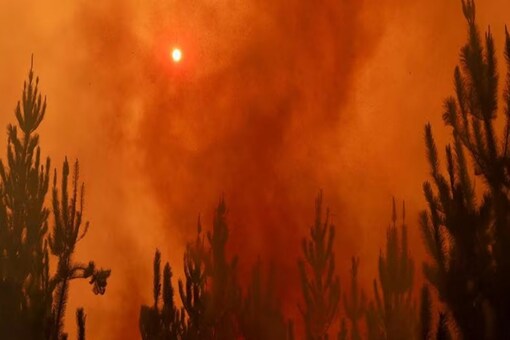 At Least 23 Dead as Dozens of Wildfires Torch Forests in Chile - News18 At Least 23 Dead as Dozens of Wildfires Torch Forests in Chile - News18