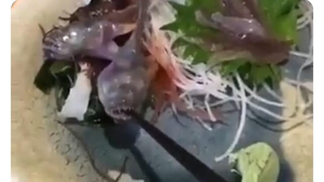 Fish Served On Plate At Restaurant Comes Alive, Bites Chopstick - News18