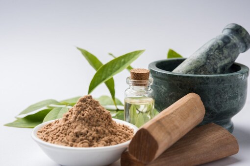 World Unani Day 2023: Theme, History, Significance and All You Need to ...