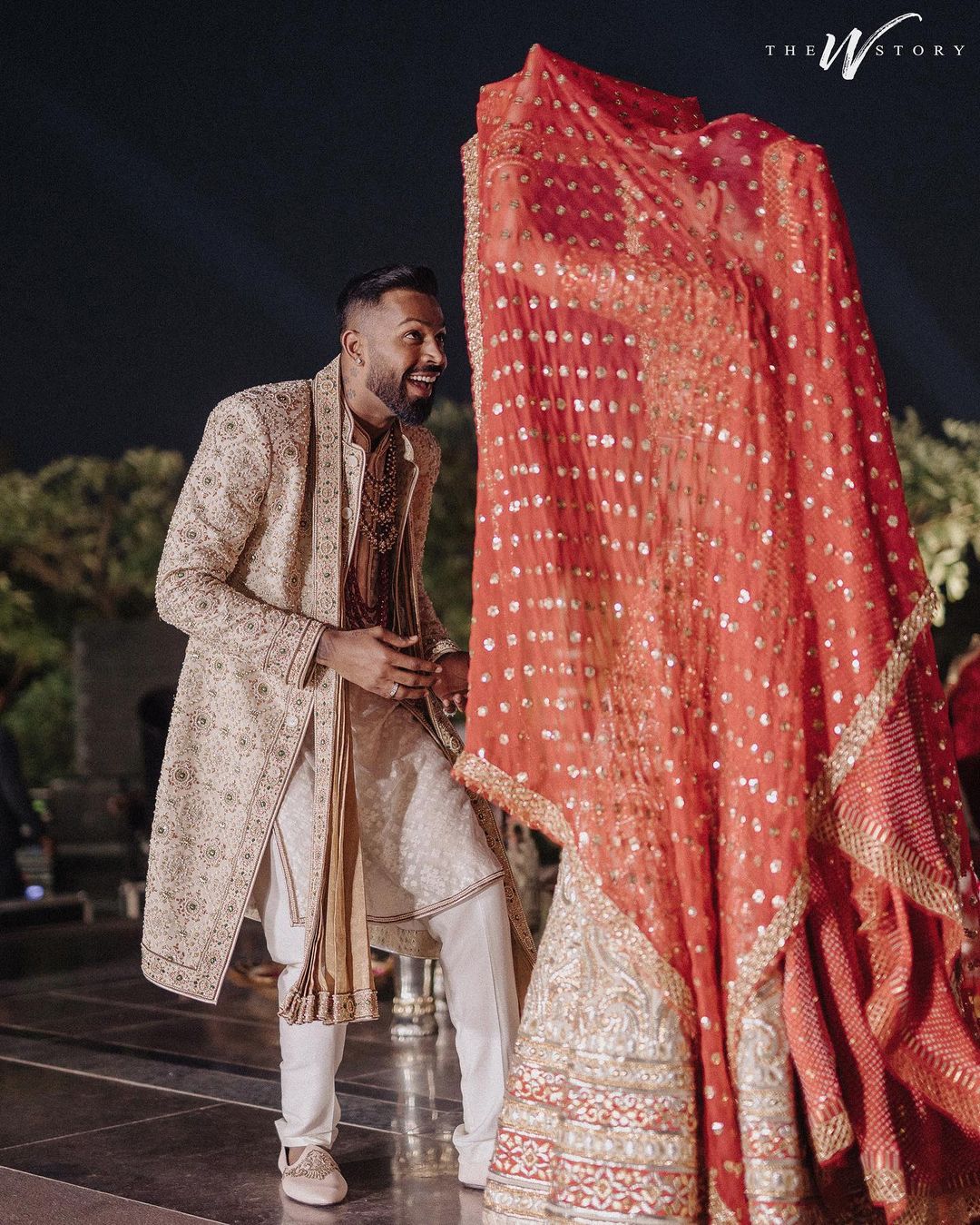 Hardik Pandya-Natasa Stankovic Share Pictures From Hindu Wedding ...