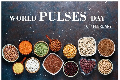 World Pulses Day 2023: Theme, History and Significance - News18
