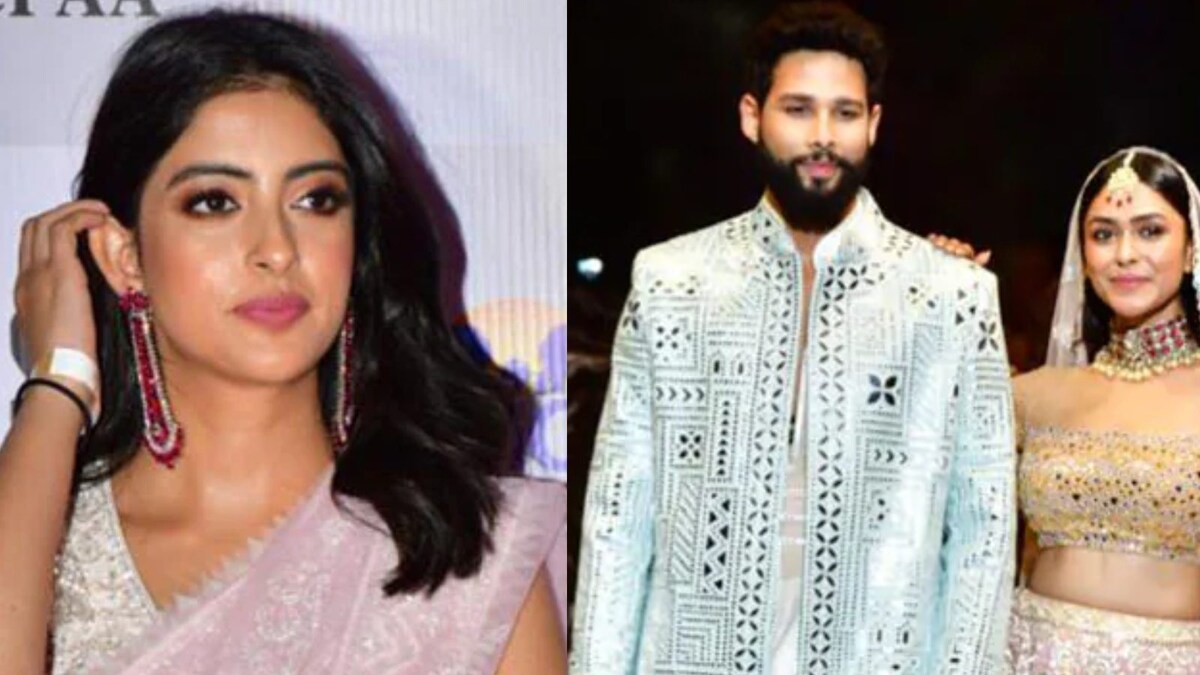 Navya Nanda Stuns in Pink Saree As She Cheers For Rumoured BF Siddhant ...