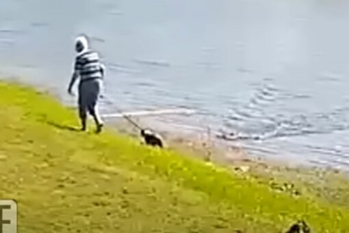Alligator Kills 85-Year-Old Woman Walking Her Dog By Lake