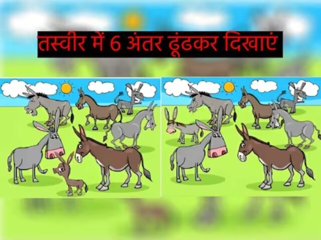 Optical Illusion: Can You Spot 6 Differences In These 2 Images? You ...