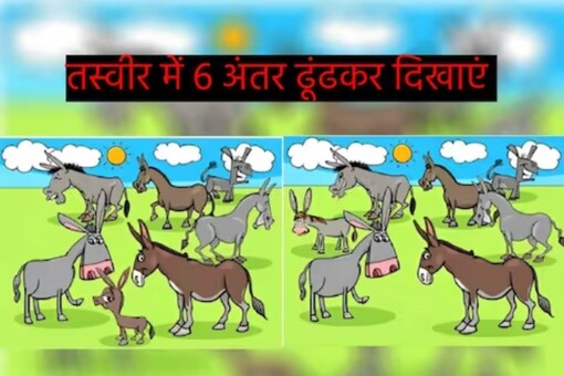 Optical Illusion: Can You Spot 6 Differences In These 2 Images? You ...