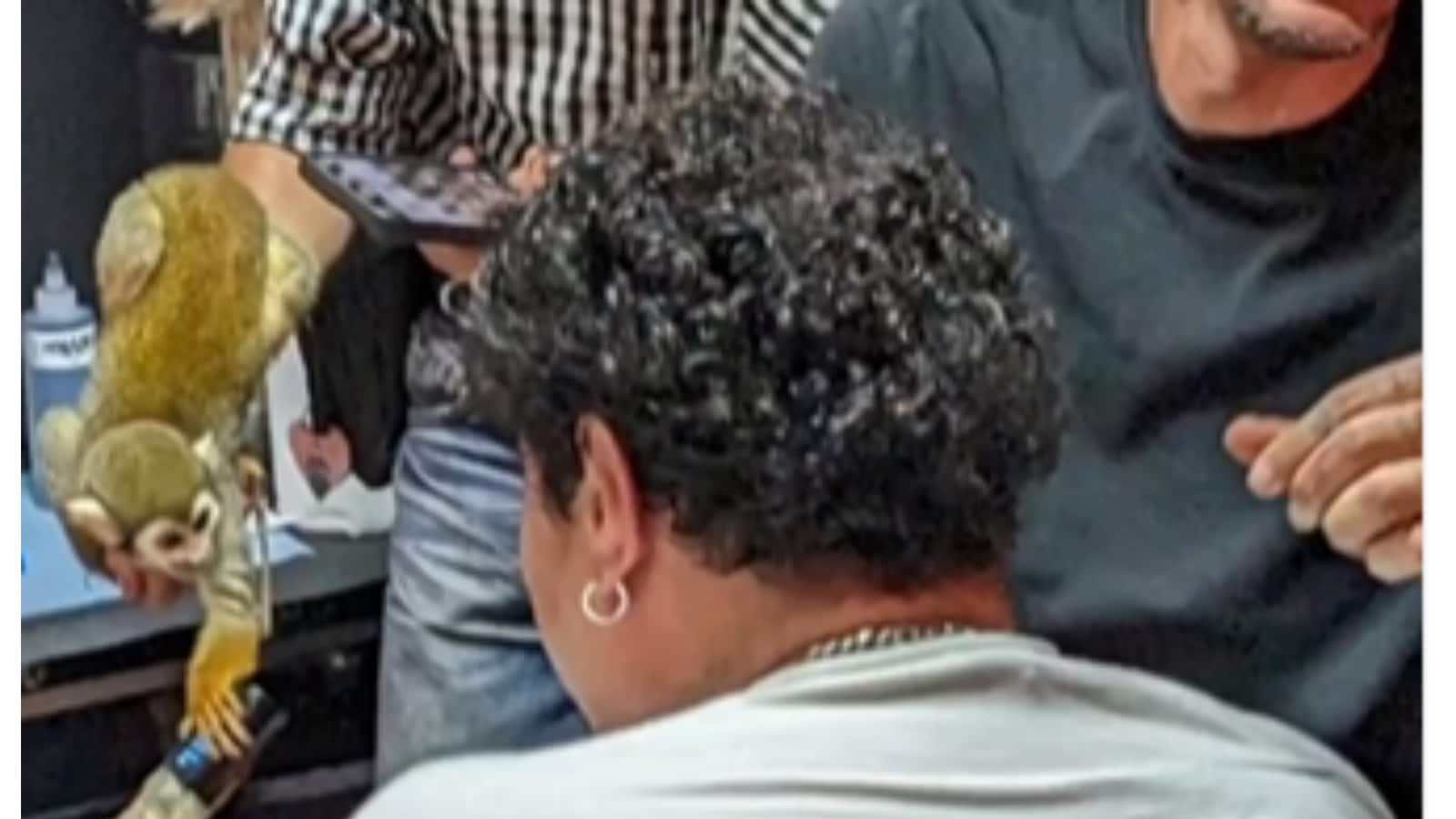 Man Trains Monkey To Be A Tattoo Artist, Twitter Is Not Impressed ...