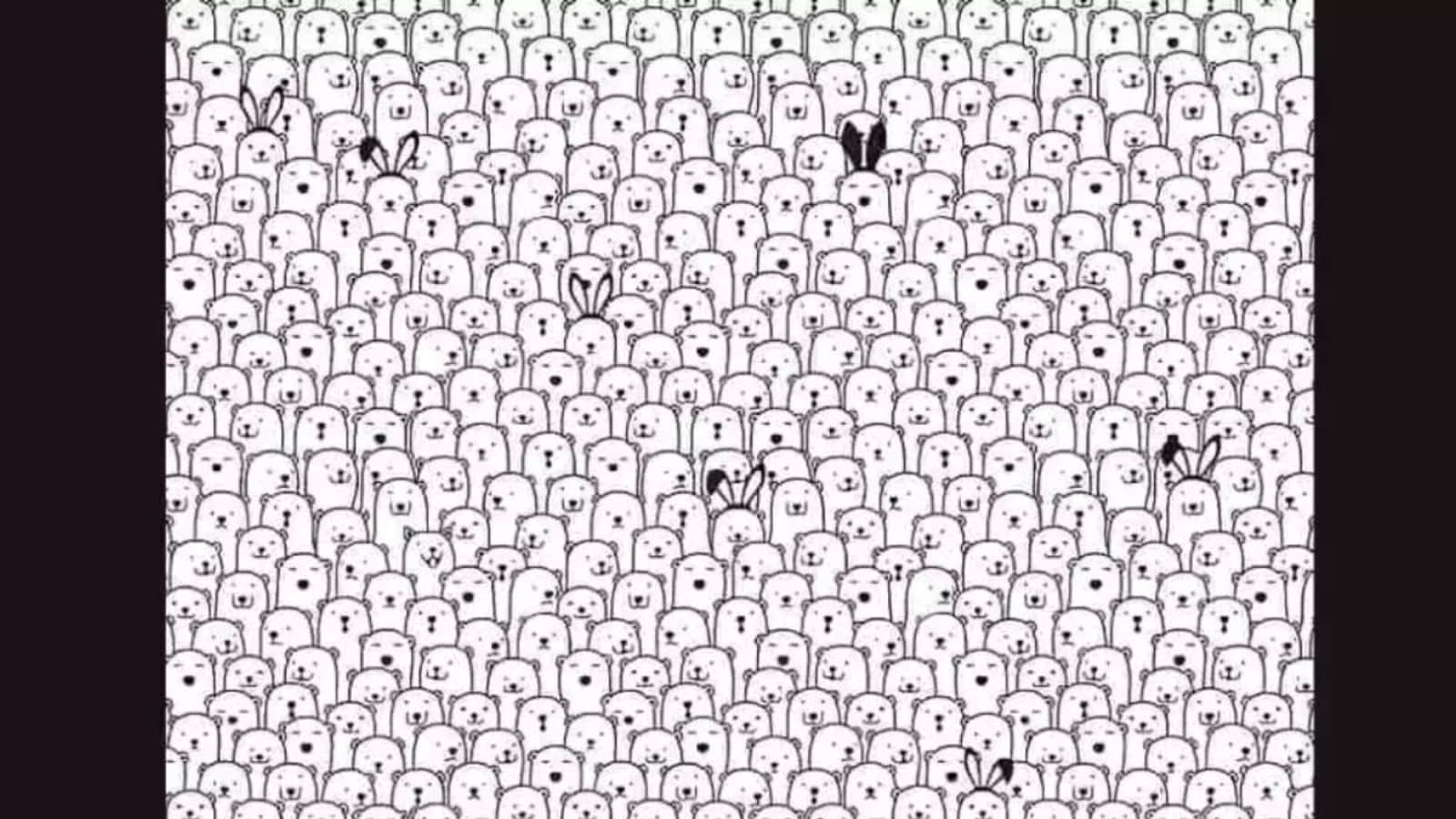 Optical Illusion: Can You Spot A Dog Amid Polar Bears In This Image ...