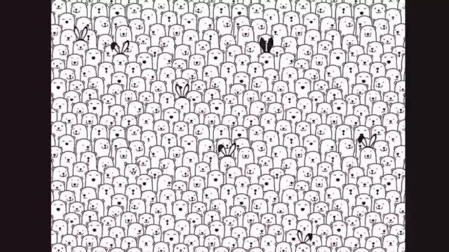 Optical Illusion: Can You Spot A Dog Amid Polar Bears In This Image ...
