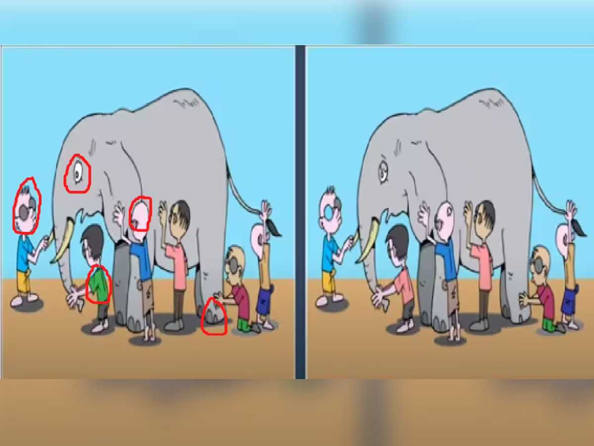 Optical Illusion: Can You Spot Five Differences In This Puzzle? | Buzz ...