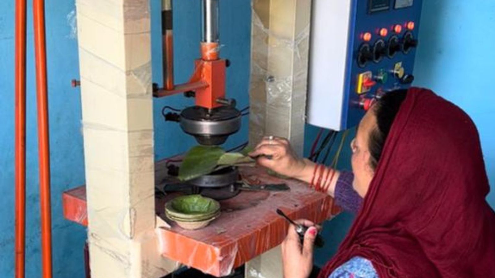 Village Communities In Himachal Turn A Leaf Into Their Source Of Income ...