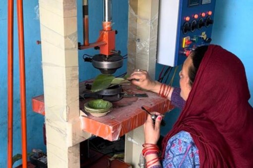 Village Communities In Himachal Turn A Leaf Into Their Source Of Income ...