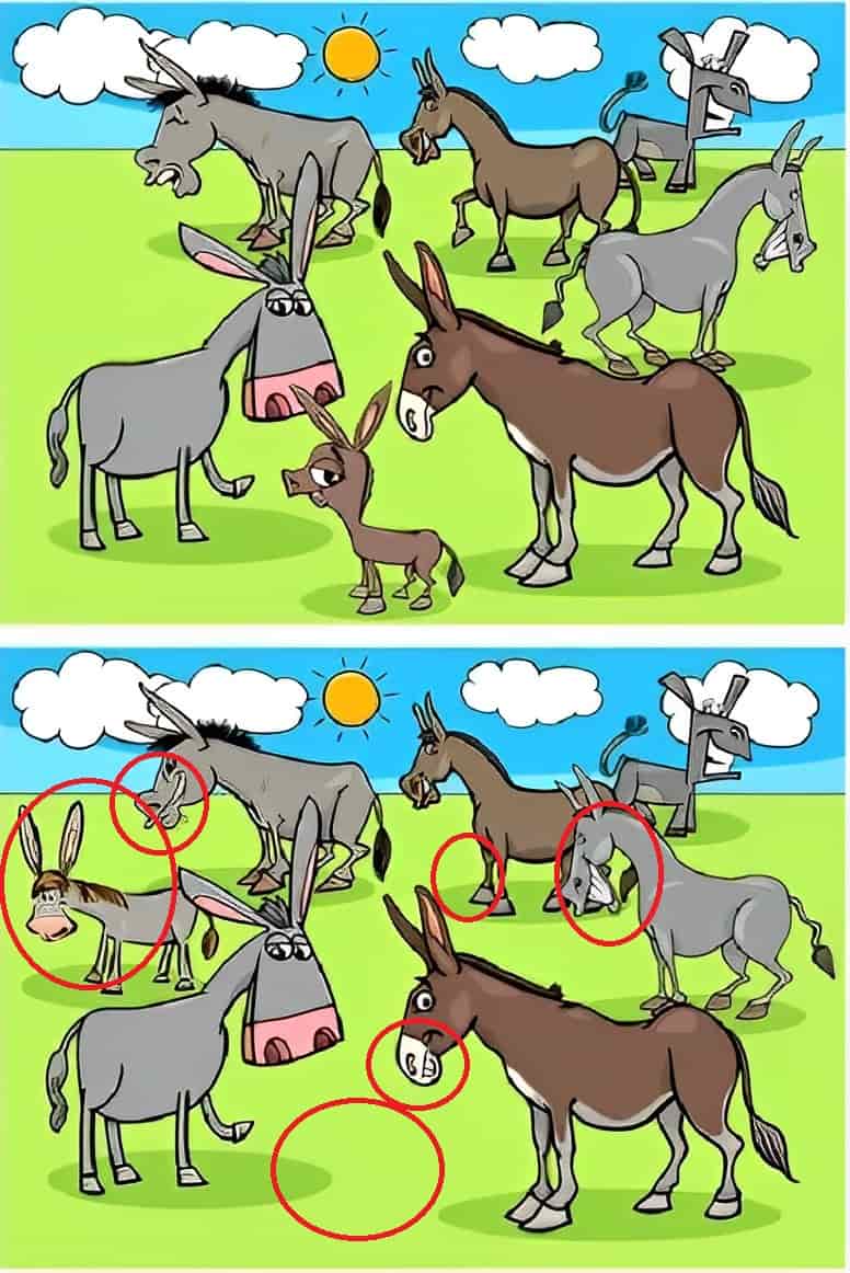 Optical Illusion: Can You Spot 6 Differences In These 2 Images? You ...