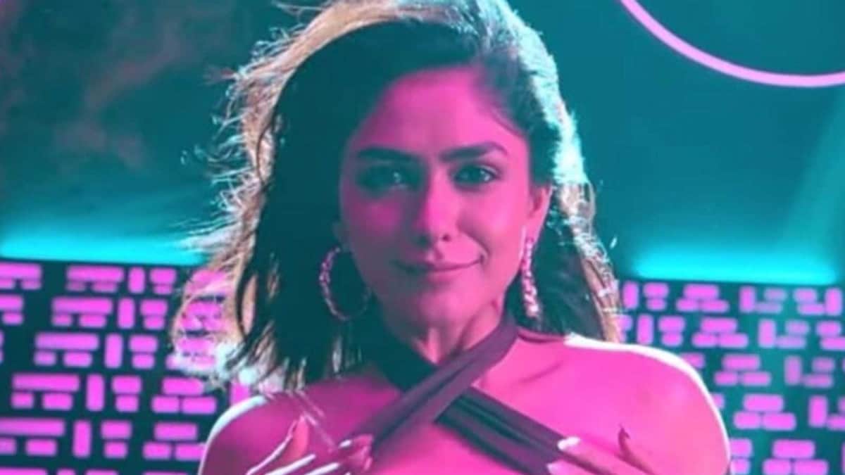 Mrunal Thakur's Glamorous Avatar In Kudiyee Ni Teri Vibe Song Grabs ...