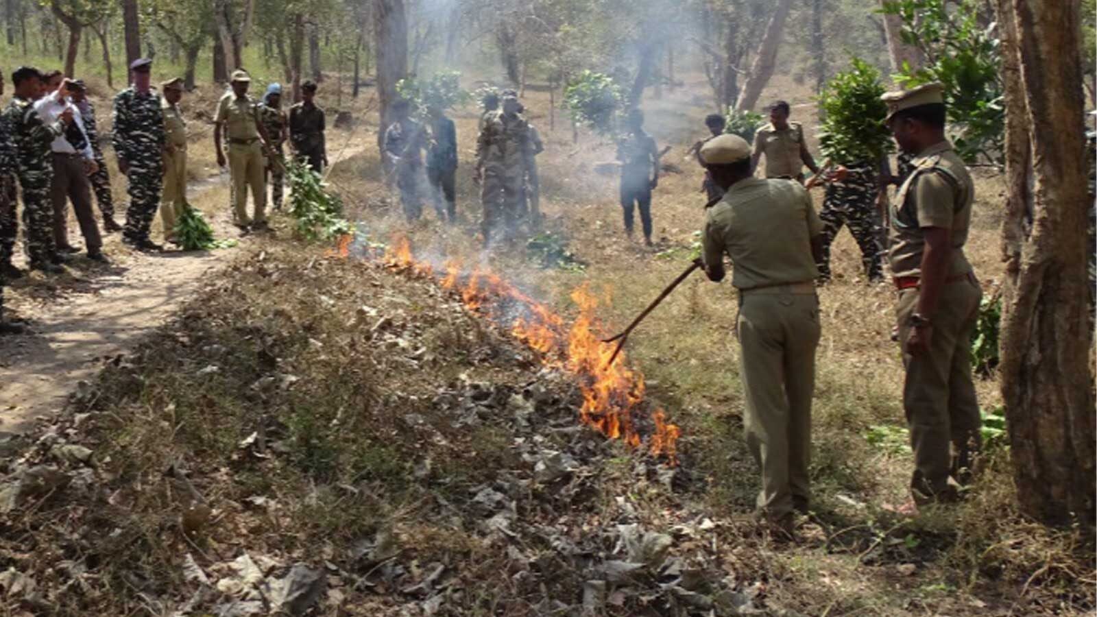 Workshop And Mock Drill For Forest Fire Disasters Conducted In Tamil ...