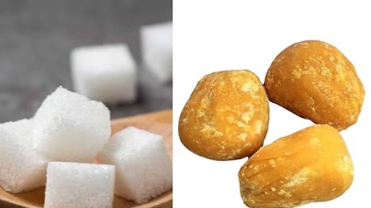 Jaggery Vs Sugar: What's Better For Your Health? - News18