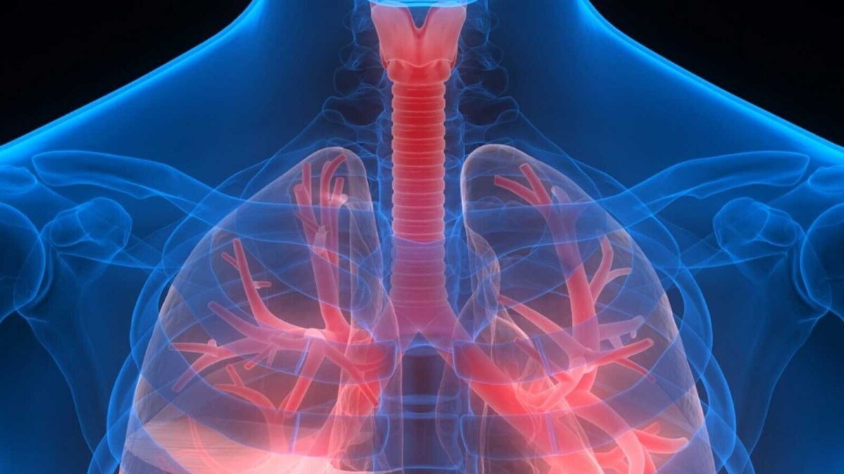 5 Natural Ways To Keep Your Lungs Clean And Healthy - News18