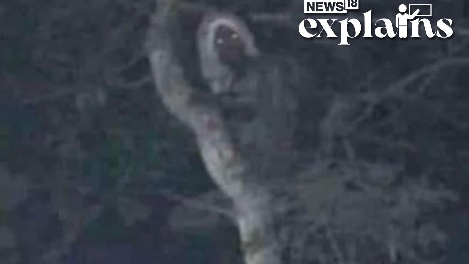 Mexico President Shares 'Proof' of Mythological Creature 'Alux': Mayan ...