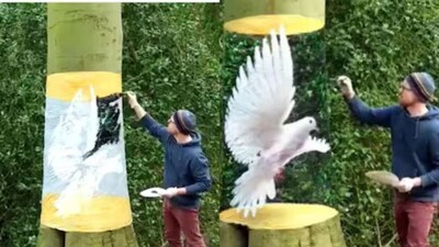 Watch: Artist's Brilliant 3D Painting On Tree Trunk Leaves Internet ...
