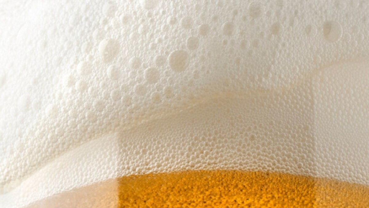 How Powdered Beer Could Make Raising a Glass Greener | Buzz News - News18