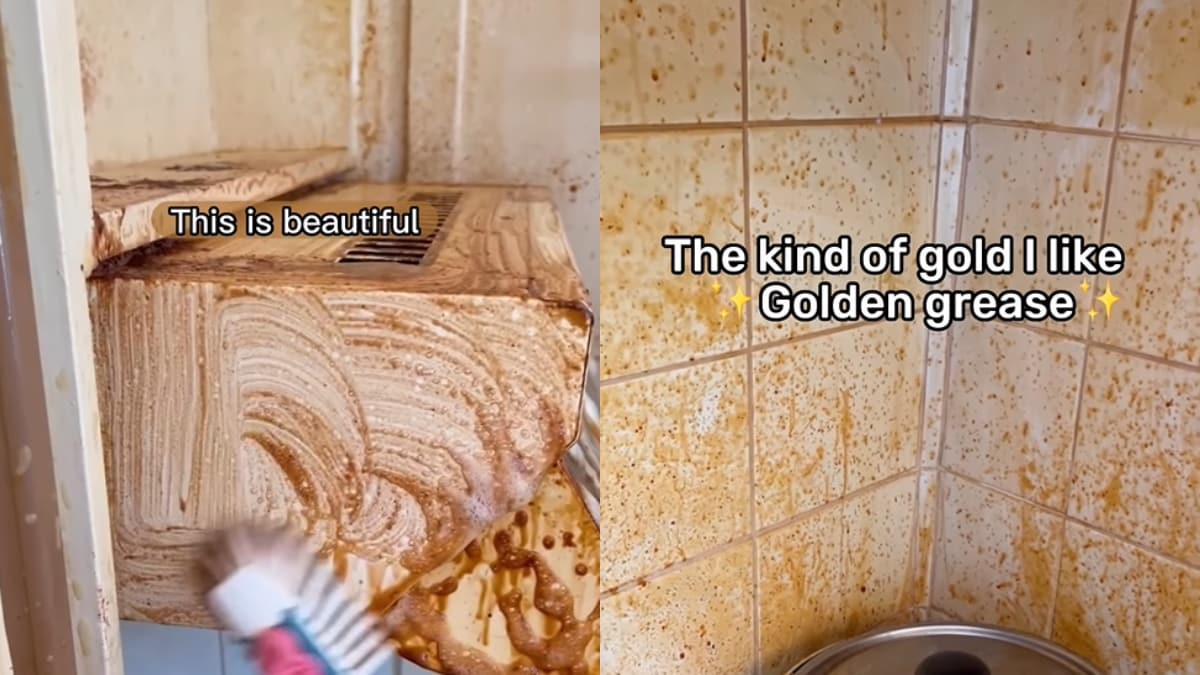 'Cleanfluencers' Have Taken Over TikTok With Their Cleaning Tips and ...