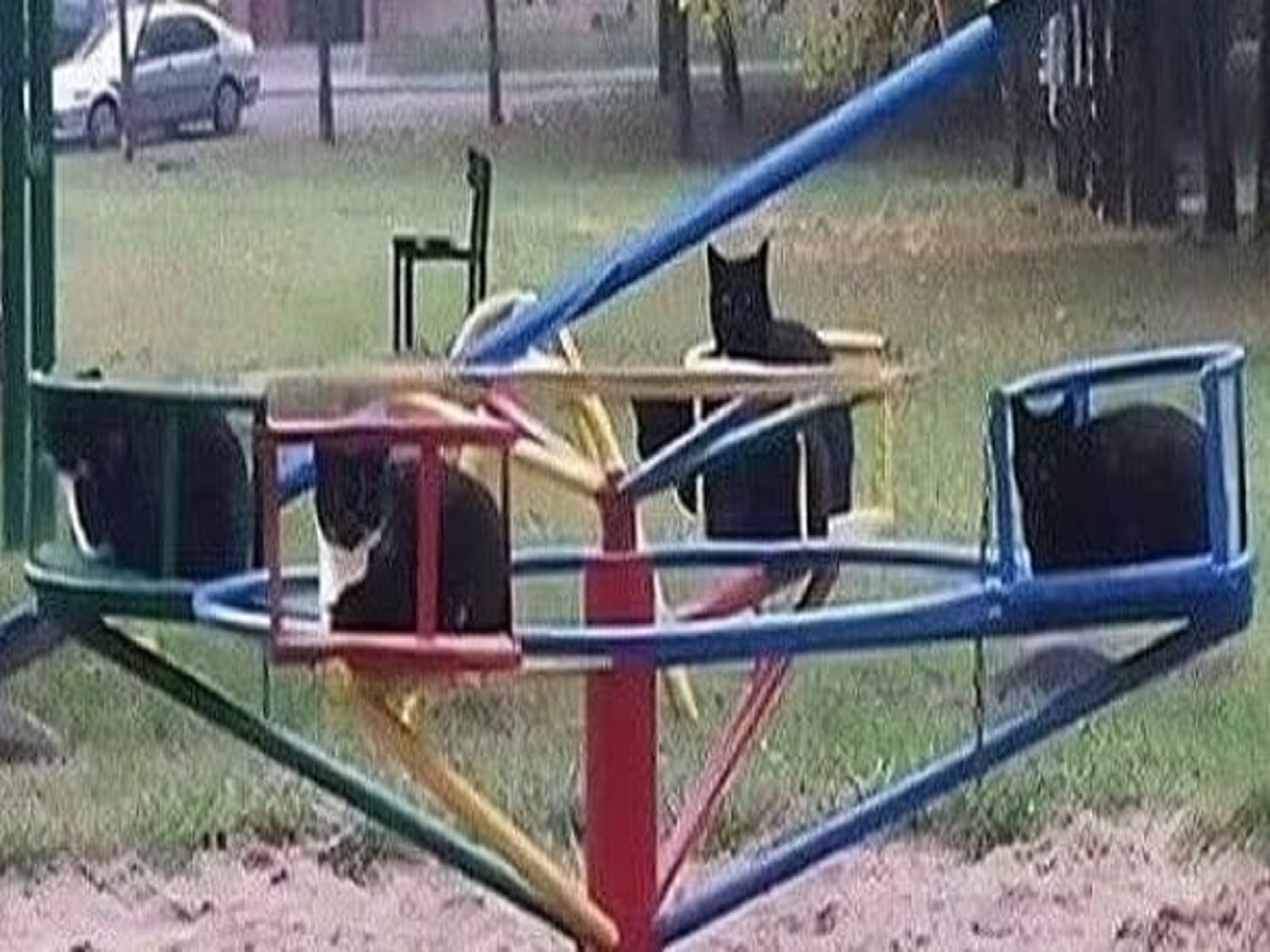 These Confusing And Bizarre Viral Pics Will Make You Scratch Your Head ...